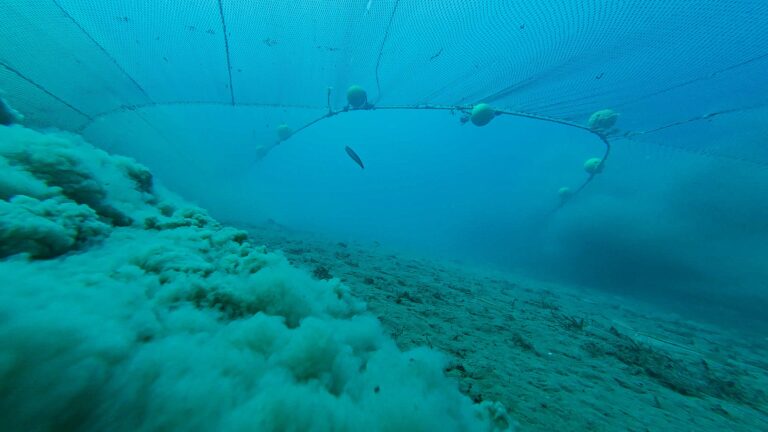 The high cost of bottom trawling in Europe’s protected waters