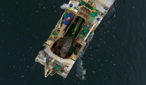Bottom trawling ban in UK and EU marine protected areas