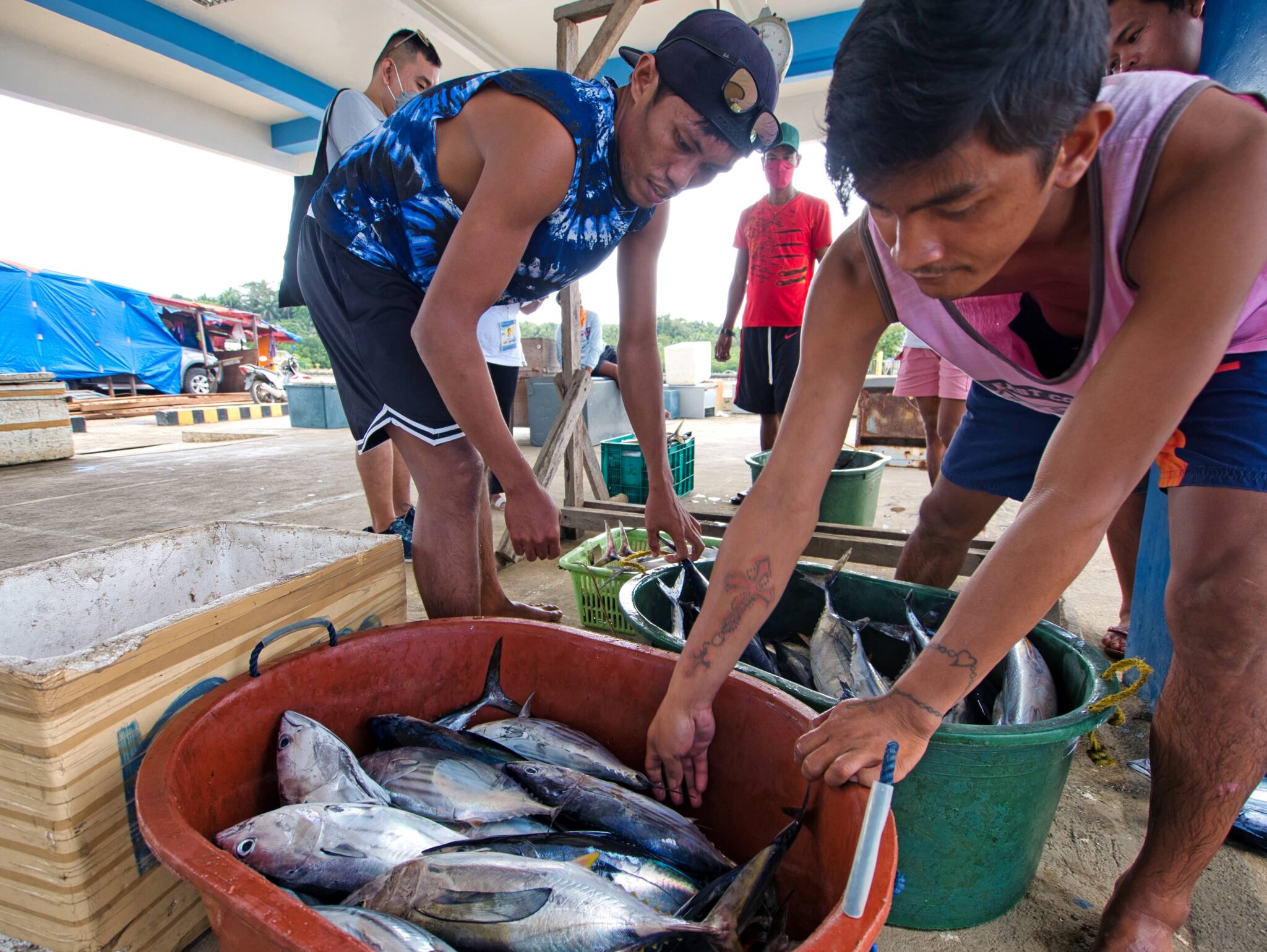 UNOC: To Meet Global Ocean Ambitions, Fund Local Solutions